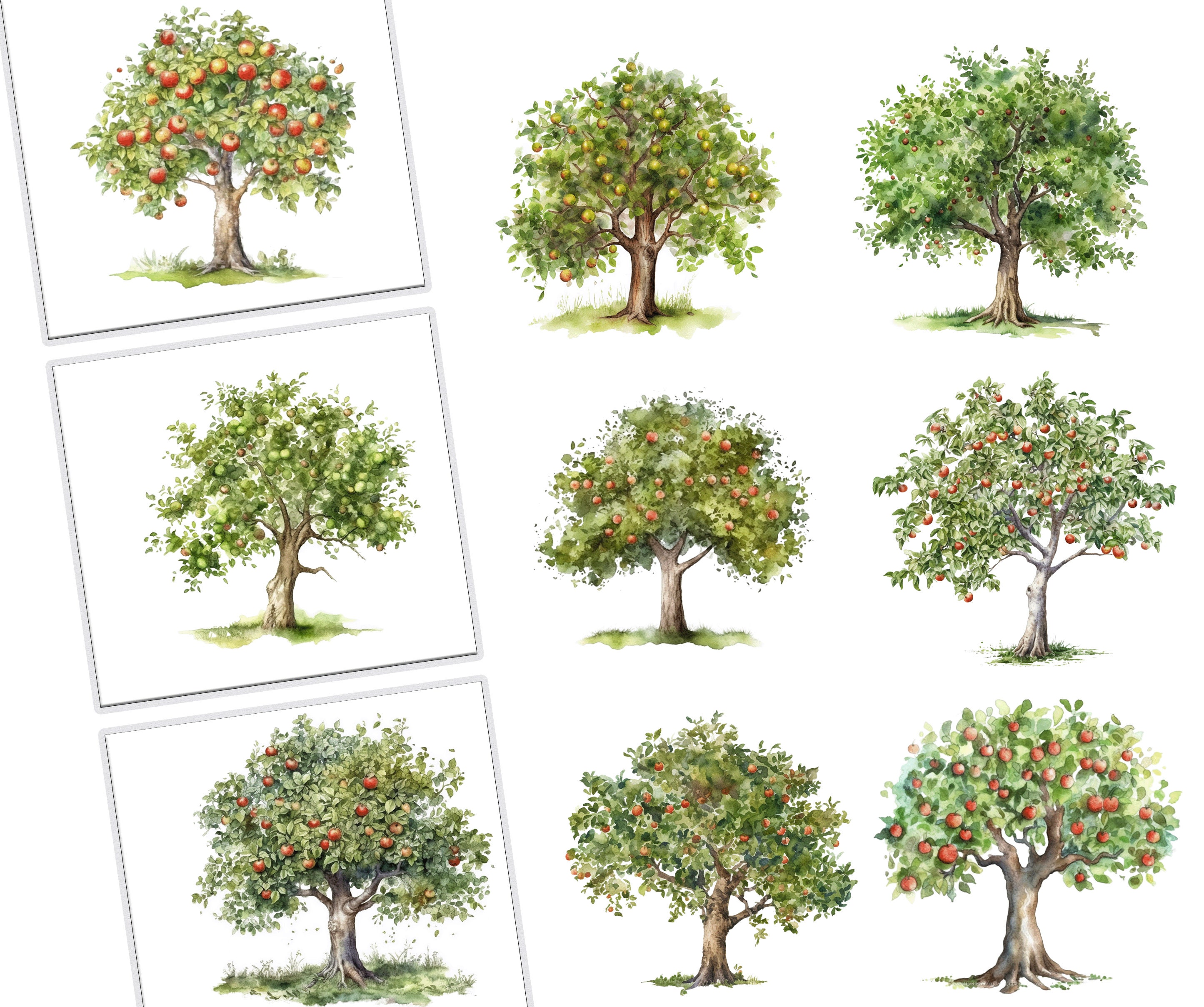 Watercolor Apple Tree Clipart Bundle,commercial Use, Apple Tree ...
