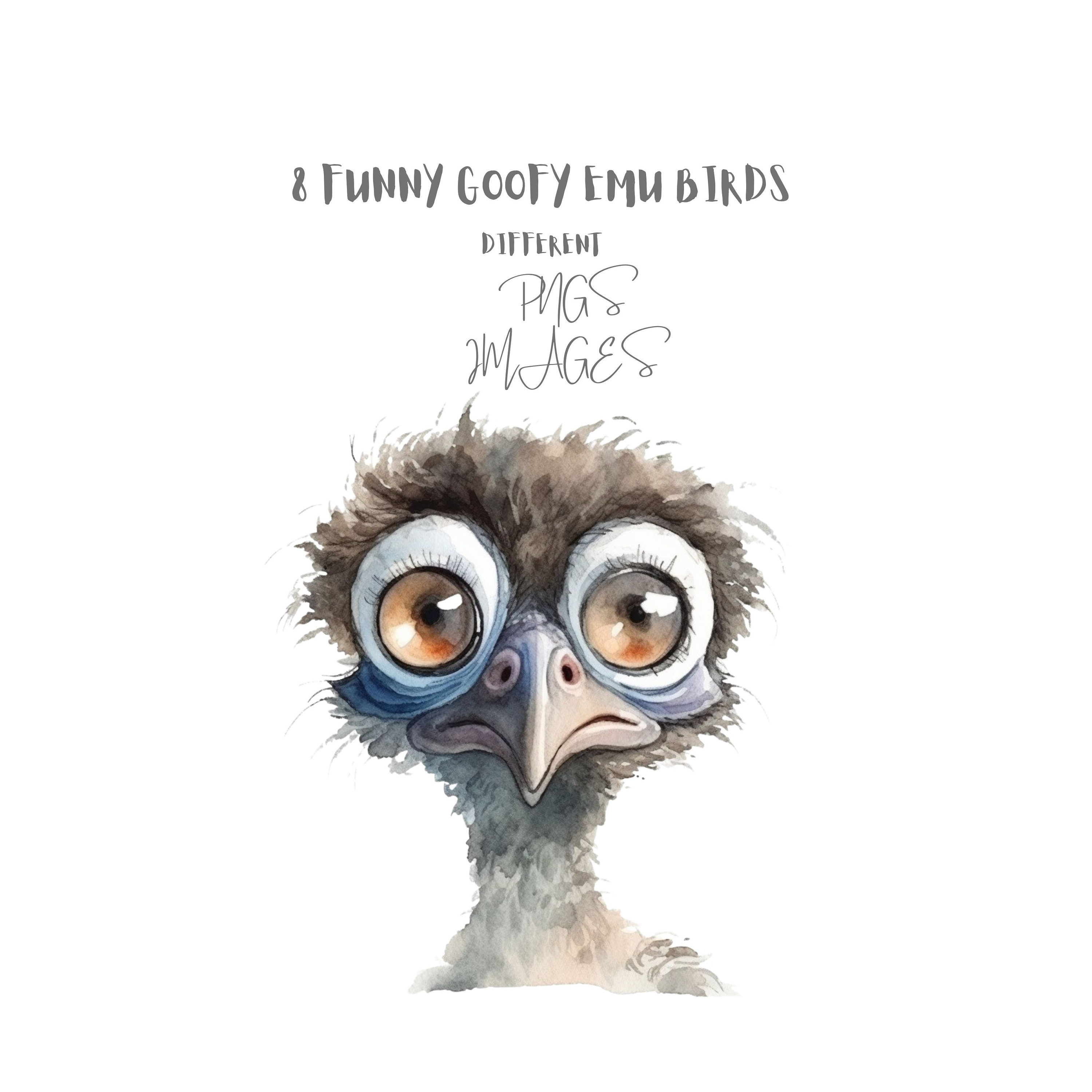 Watercolor Funny Goofy Emu Birds Clipart Bundle for Commercial - Etsy