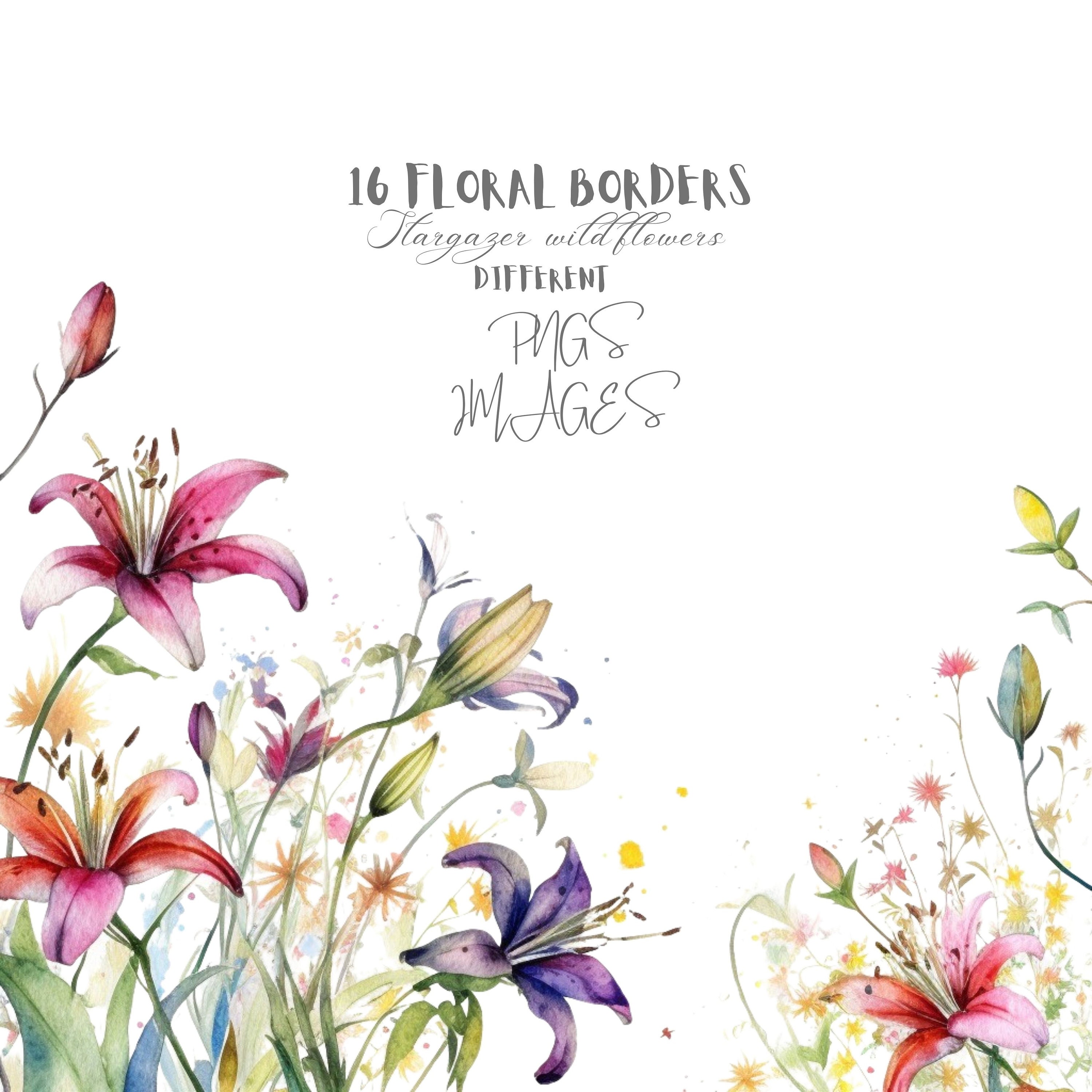 Watercolor Stargazer Wildflowers Borders Clipart - Etsy