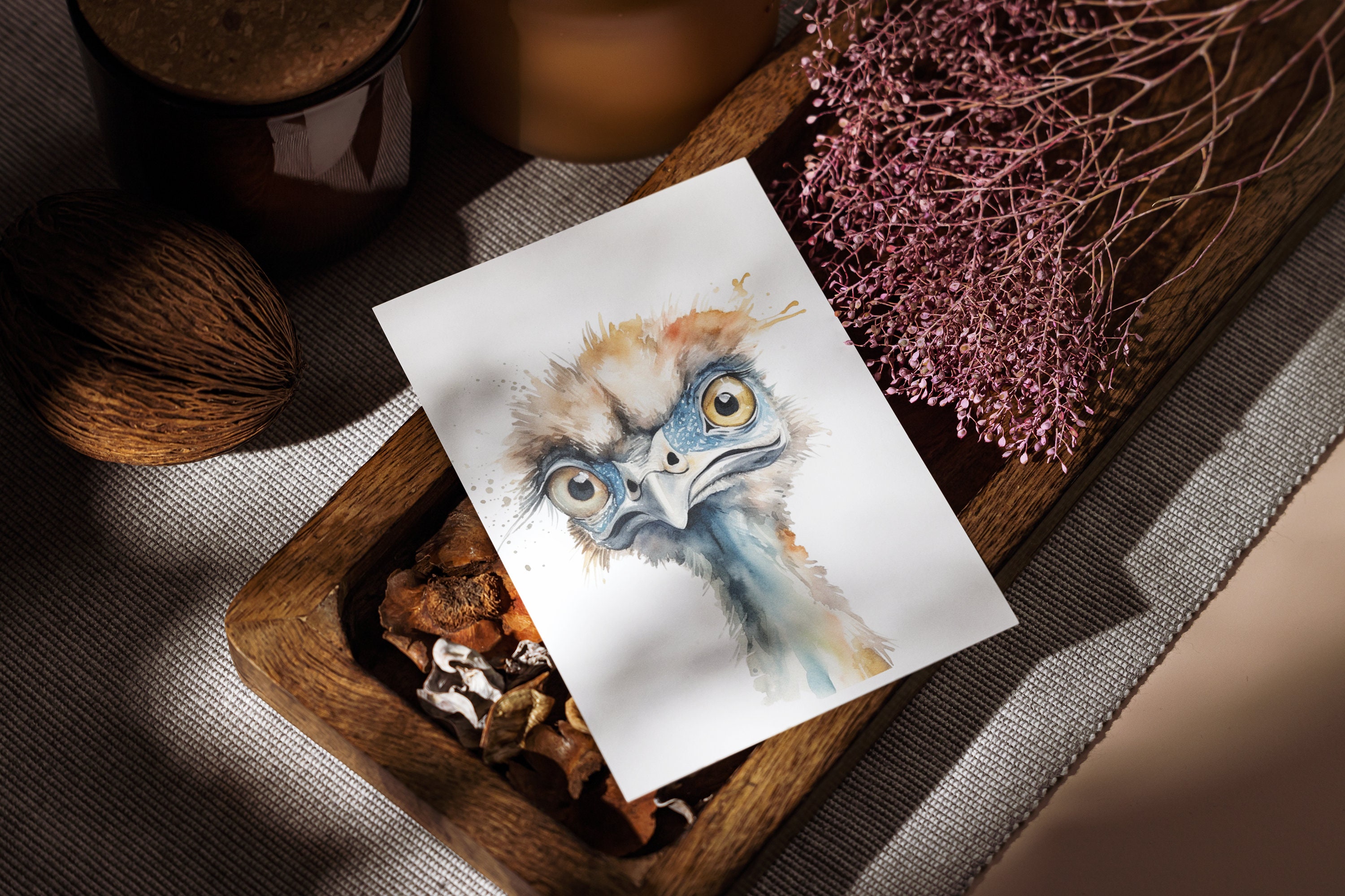 Watercolor Funny Goofy Emu Birds Clipart Bundle for Commercial - Etsy