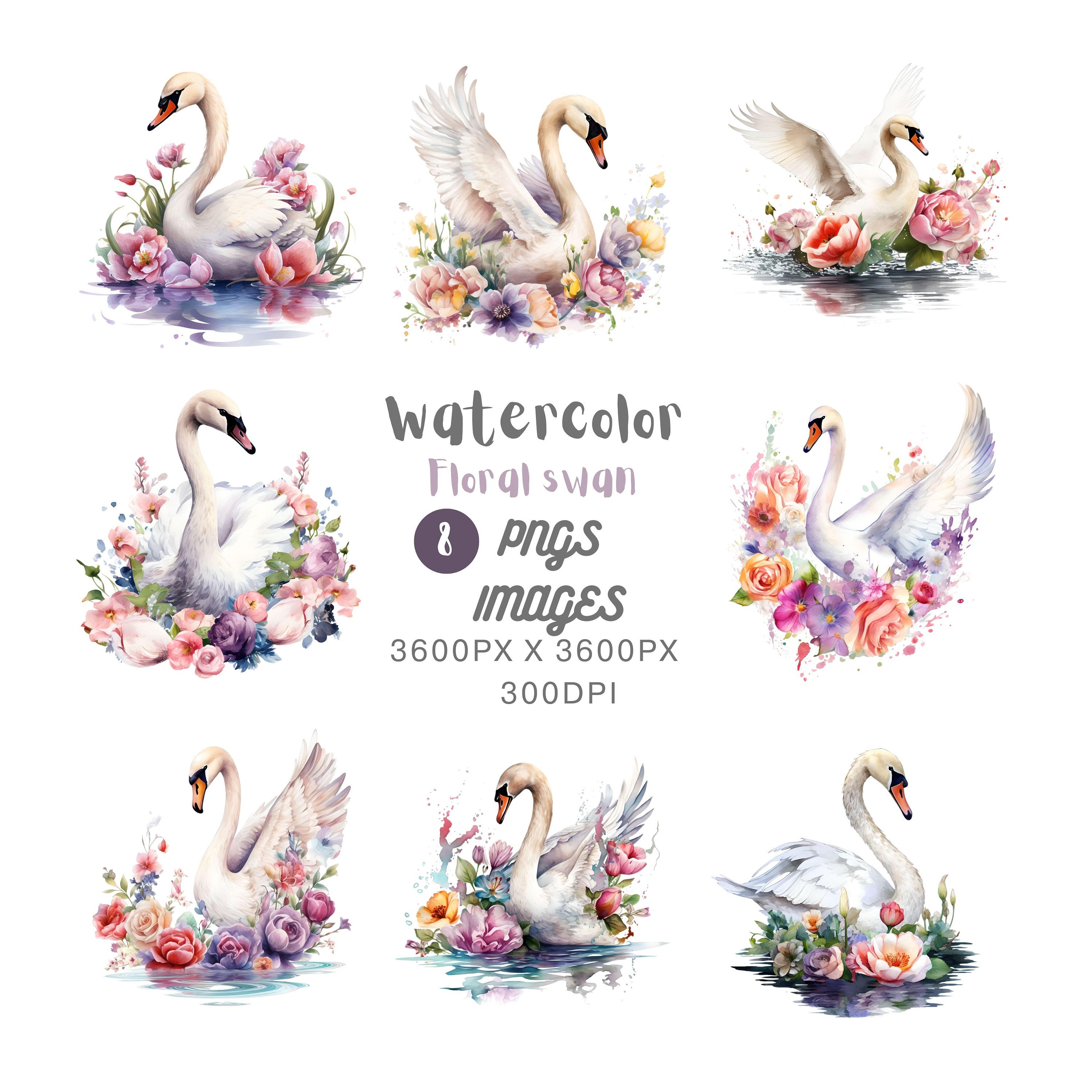 Swan Love Clipart Dividers