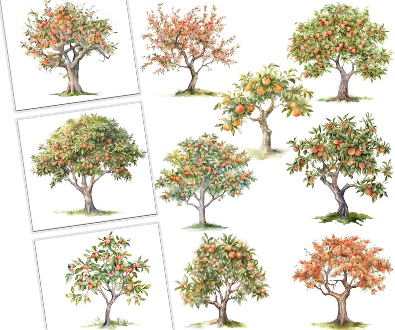 Watercolor Kawaii Peach Tree Clipart Bundle, Commercial Use,fruit Tree ...
