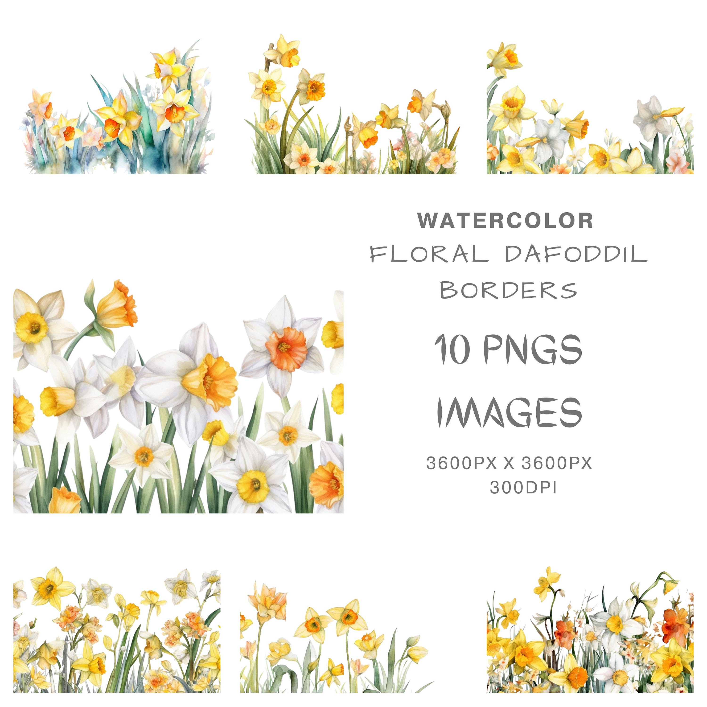 Watercolor Daffodil and Wildflower Borders Clipart Bundle for Nursery ...