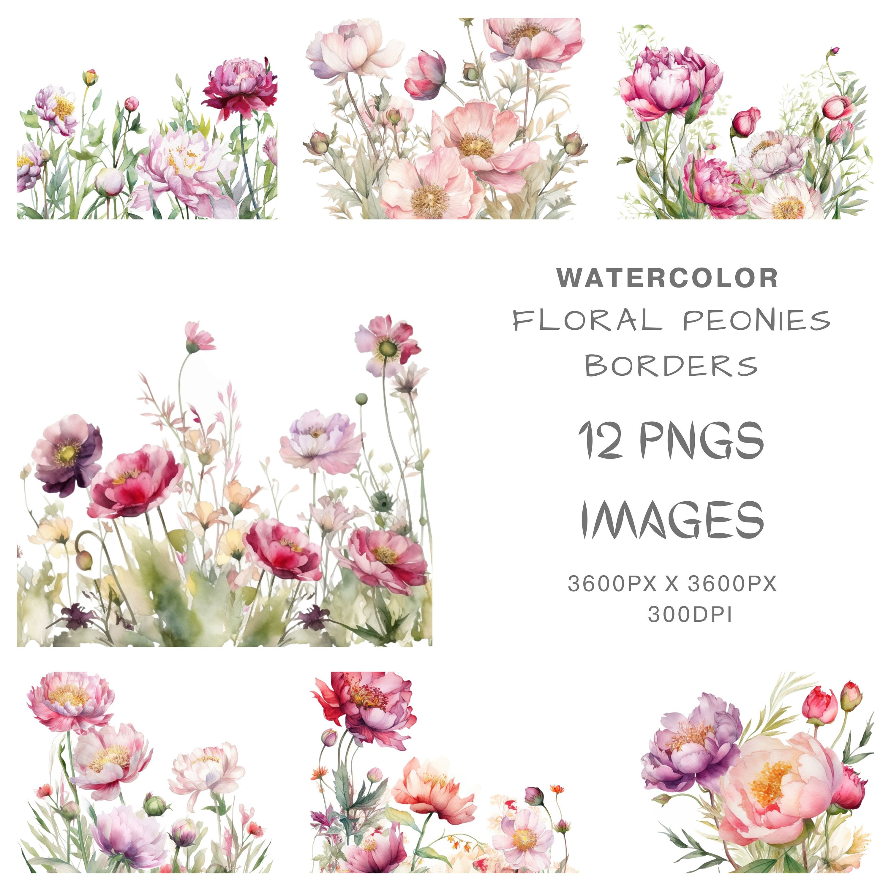 Watercolor Floral Peonies Wildflowers Borders Clipart - Etsy