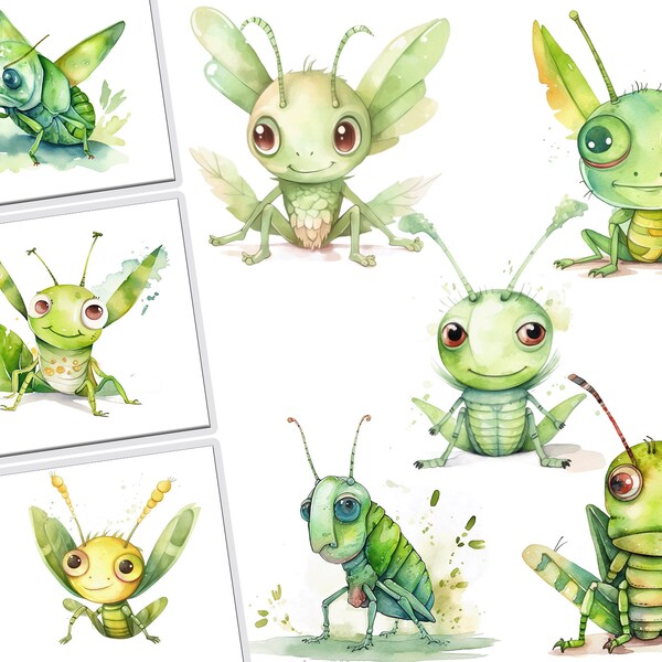 Insect Watercolor - Etsy