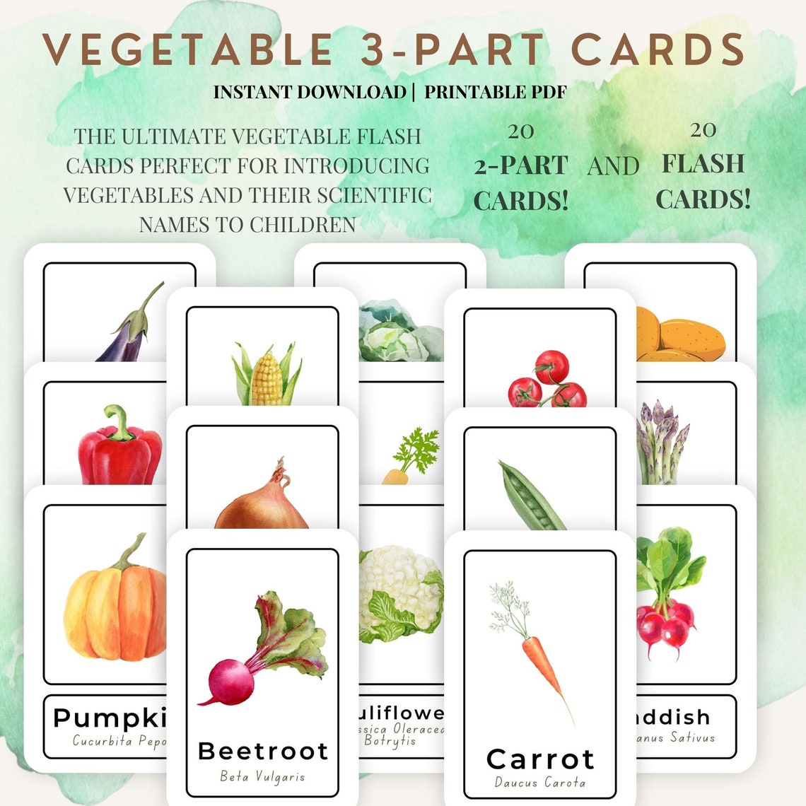 VEGETABLE GARDEN | Montessori 3 Part Vocabulary Cards | Homeed ...