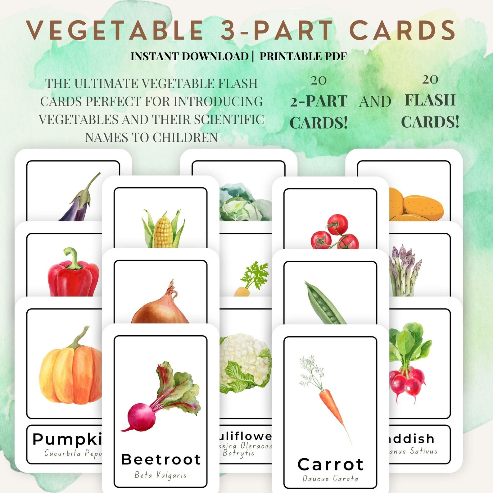 VEGETABLE GARDEN | Montessori 3 Part Vocabulary Cards | Homeed ...
