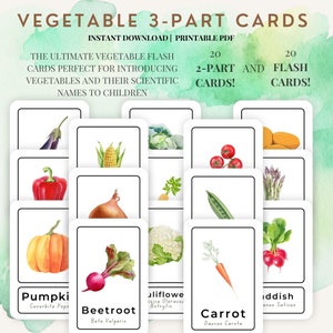 VEGETABLE GARDEN | Montessori 3 Part Vocabulary Cards | Homeed ...