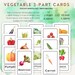 VEGETABLE GARDEN | Montessori 3 Part Vocabulary Cards | Homeed ...