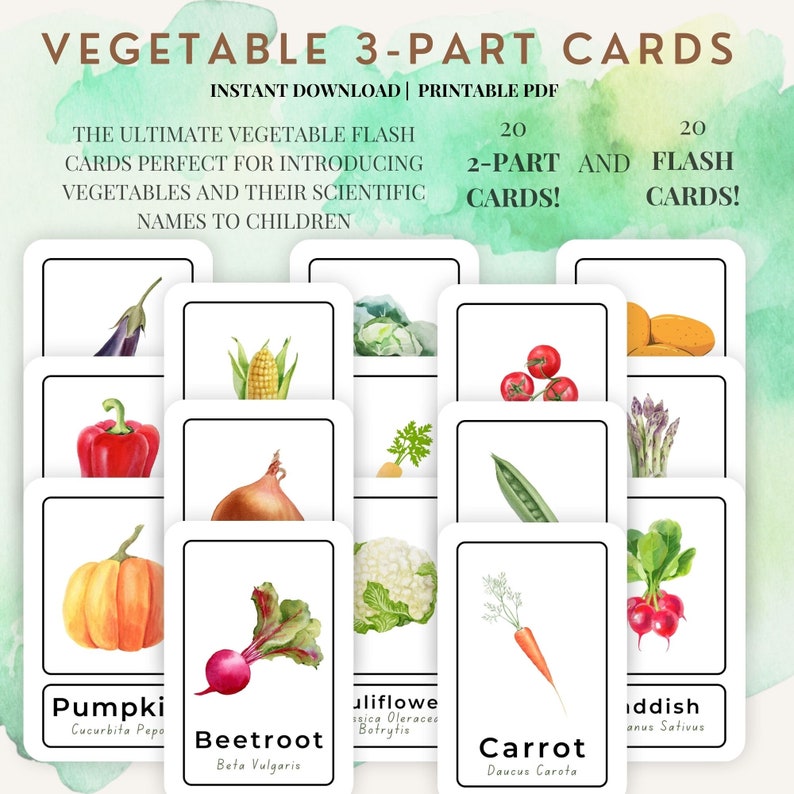 VEGETABLE GARDEN | Montessori 3 Part Vocabulary Cards | Homeed ...