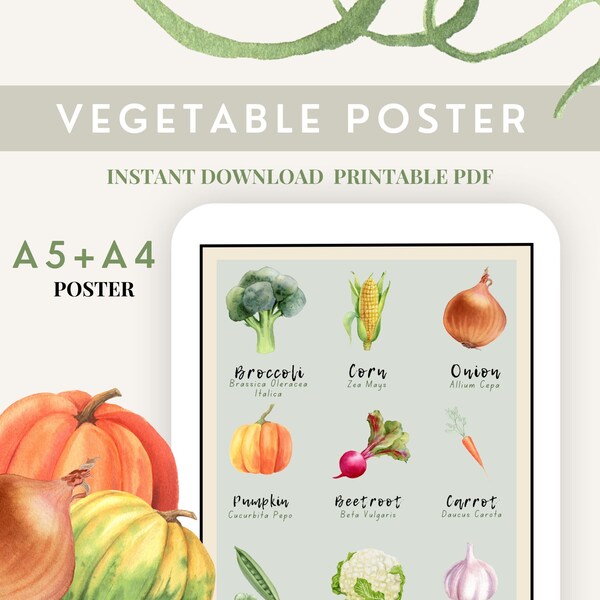 Ed Kitchen Watercolors - Etsy