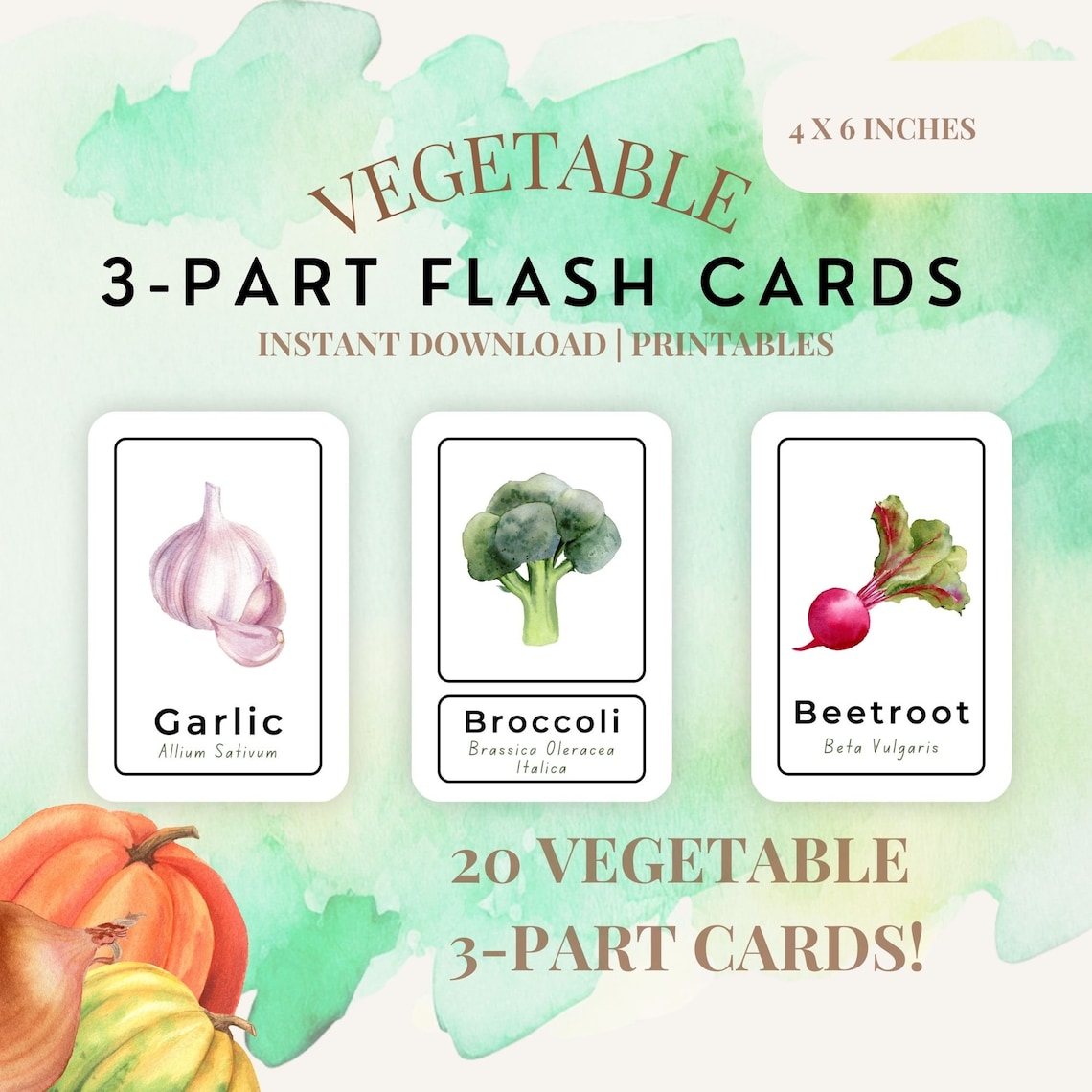 VEGETABLE GARDEN | Montessori 3 Part Vocabulary Cards | Homeed ...