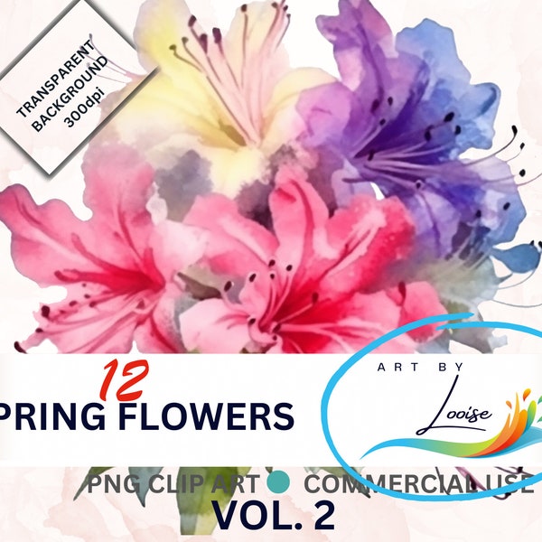 Floral Digital Art Transparent Background - Etsy