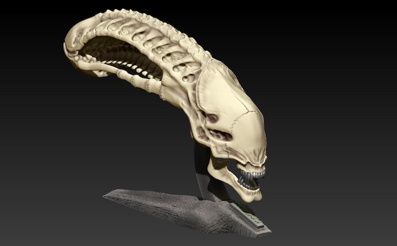 Alien Xenomorph Skull - Etsy
