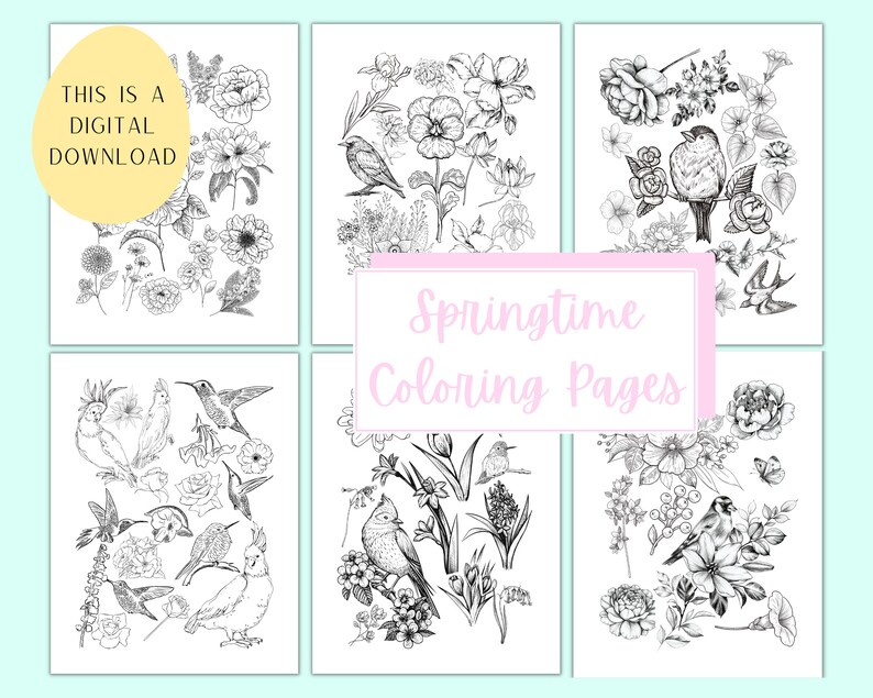 Spring Coloring Page, Easter Coloring Activity, Spring Classroom Craft ...