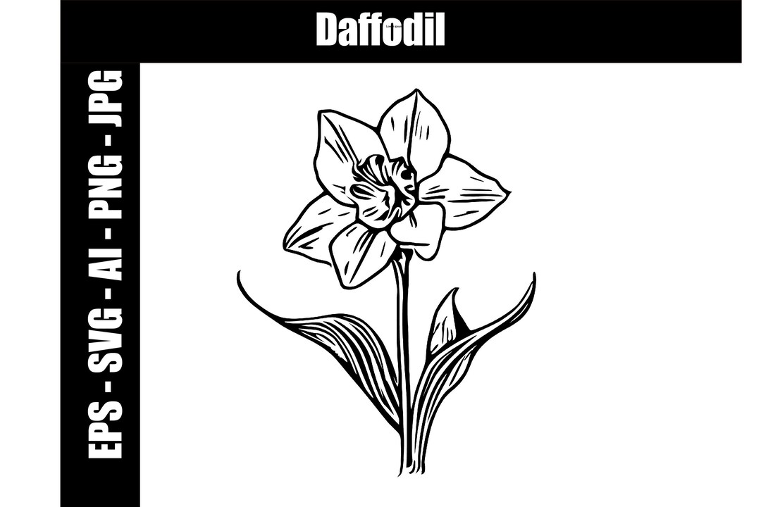 Daffodil SVG, AI, Jpg, Png, Eps - Digital Download - Cut File - SVG for ...