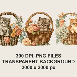 Vintage Cats Clipart Watercolor Kitten in a Basket Clipart, Vintage Cat ...