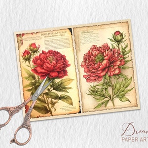 Red Peonies Junk Journal Pages, Vintage Peony Junk Journal Kit, Junk ...