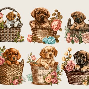 Vintage Puppy Clipart Watercolor Dogs in a Basket Clipart, Vintage ...