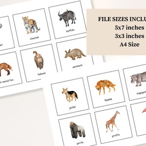 30 Safari Animals Flash Cards, Montessori Materials, Zoo Animals Flash ...