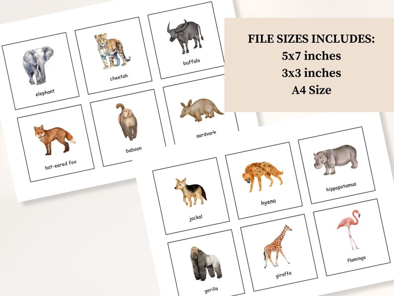 30 Safari Animals Flash Cards, Montessori Materials, Zoo Animals Flash ...