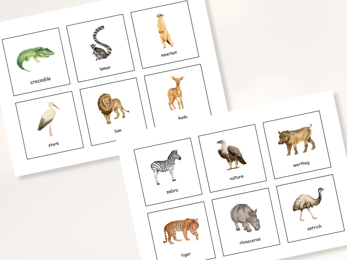 30 Safari Animals Flash Cards, Montessori Materials, Zoo Animals Flash ...
