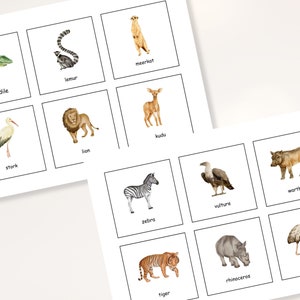 30 Safari Animals Flash Cards, Montessori Materials, Zoo Animals Flash ...