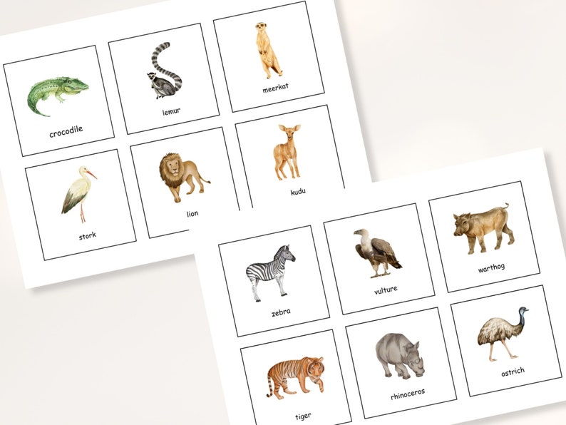 30 Safari Animals Flash Cards, Montessori Materials, Zoo Animals Flash ...
