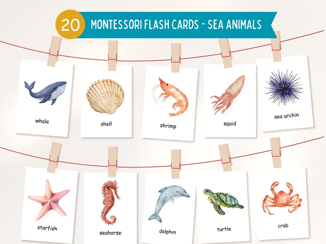 20 Sea Animals Flash Cards Montessori for Pre-schoolers, Fun Flashcards ...