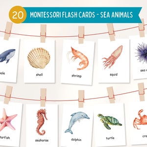 20 Sea Animals Flash Cards Montessori for Pre-schoolers, Fun Flashcards ...