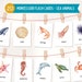 20 Sea Animals Flash Cards Montessori for Pre-schoolers, Fun Flashcards ...