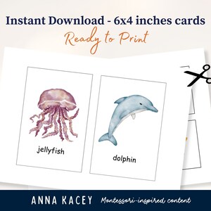 20 Sea Animals Flash Cards Montessori for Pre-schoolers, Fun Flashcards ...