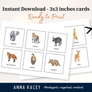 30 Safari Animals Flash Cards, Montessori Materials, Zoo Animals Flash ...