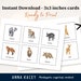 30 Safari Animals Flash Cards, Montessori Materials, Zoo Animals Flash ...