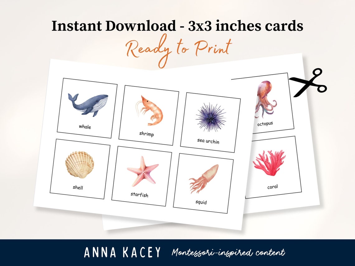 20 Sea Animals Flash Cards Montessori for Pre-schoolers, Fun Flashcards ...