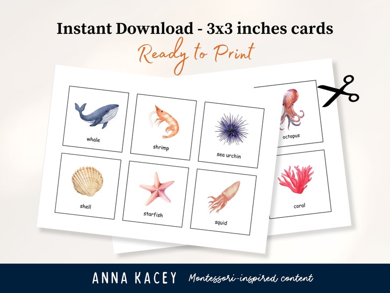 20 Sea Animals Flash Cards Montessori for Pre-schoolers, Fun Flashcards ...