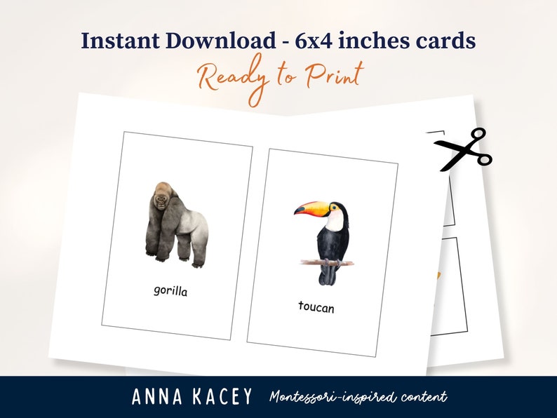 25 Rainforest Animals Flash Cards, Montessori Materials, Animals Flash ...