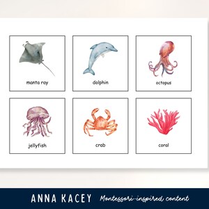 20 Sea Animals Flash Cards Montessori for Pre-schoolers, Fun Flashcards ...