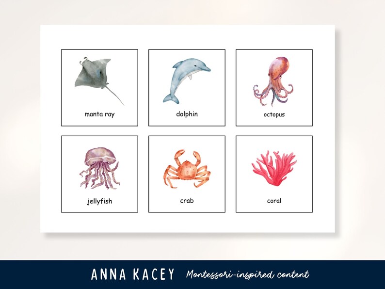 20 Sea Animals Flash Cards Montessori for Pre-schoolers, Fun Flashcards ...