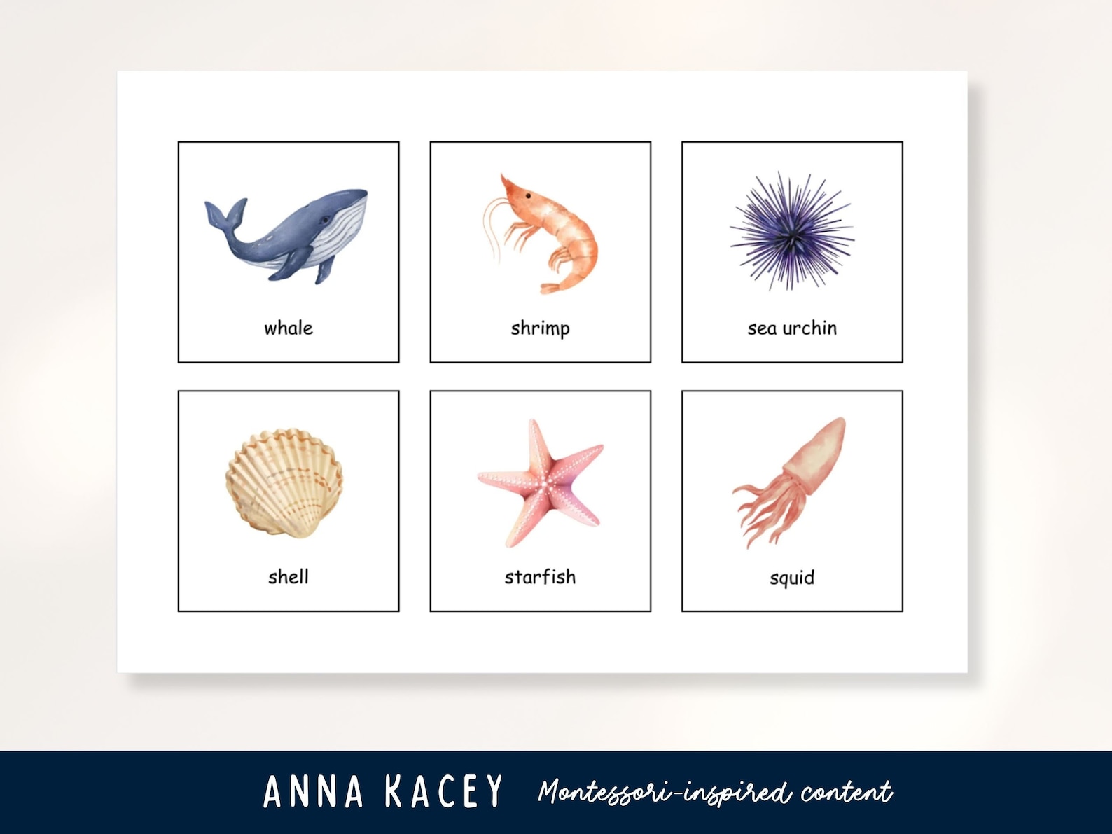 20 Sea Animals Flash Cards Montessori for Pre-schoolers, Fun Flashcards ...