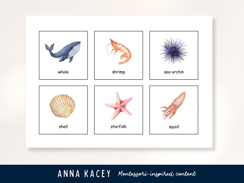 20 Sea Animals Flash Cards Montessori for Pre-schoolers, Fun Flashcards ...