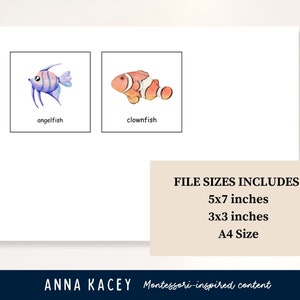20 Sea Animals Flash Cards Montessori for Pre-schoolers, Fun Flashcards ...
