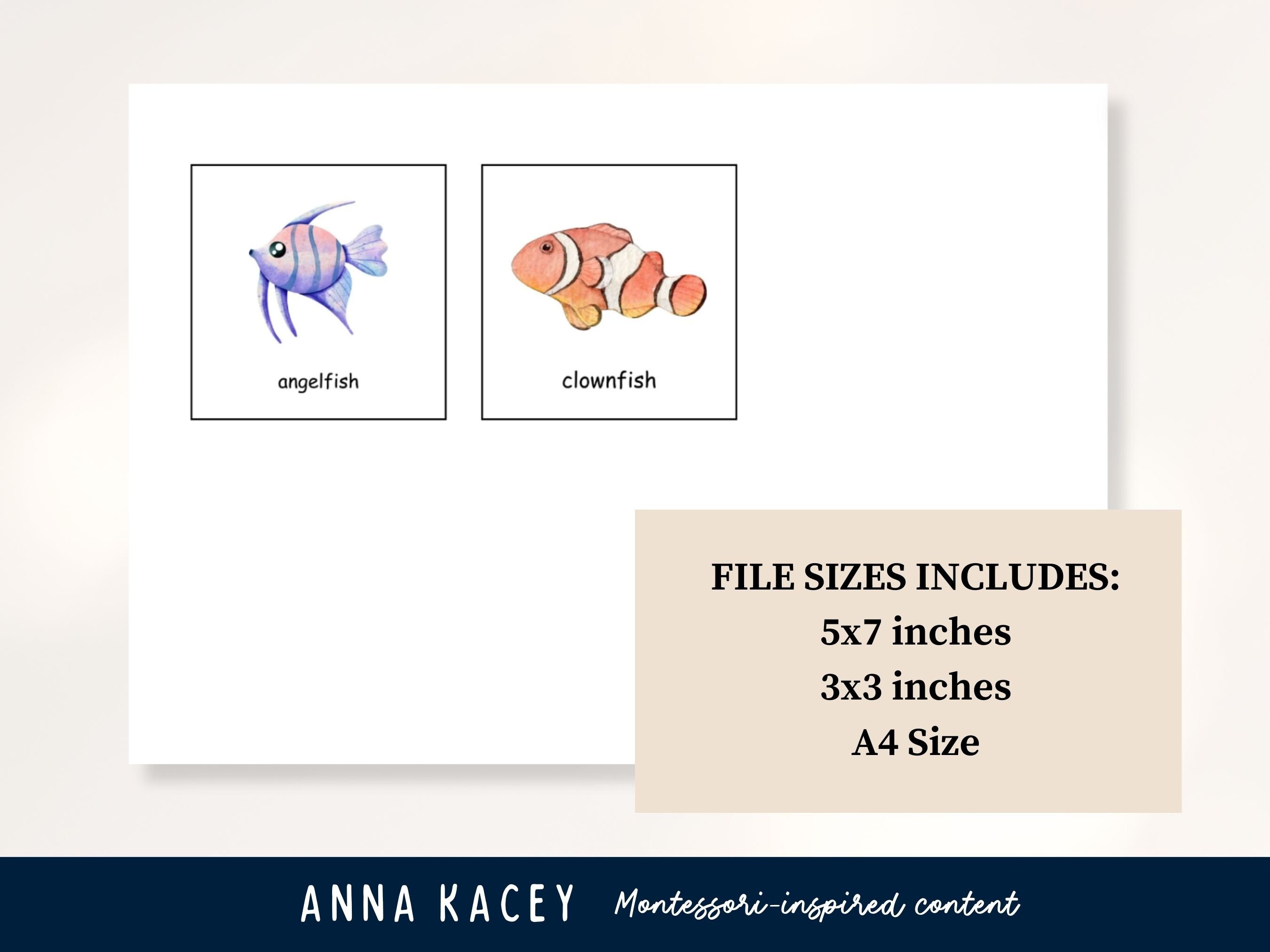 20 Sea Animals Flash Cards Montessori for Pre-schoolers, Fun Flashcards ...