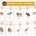 30 Safari Animals Flash Cards, Montessori Materials, Zoo Animals Flash ...