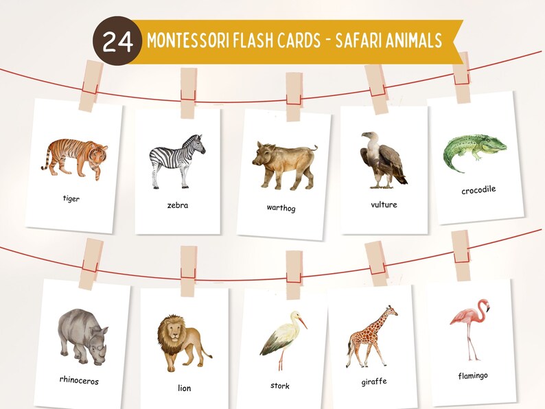 30 Safari Animals Flash Cards, Montessori Materials, Zoo Animals Flash ...