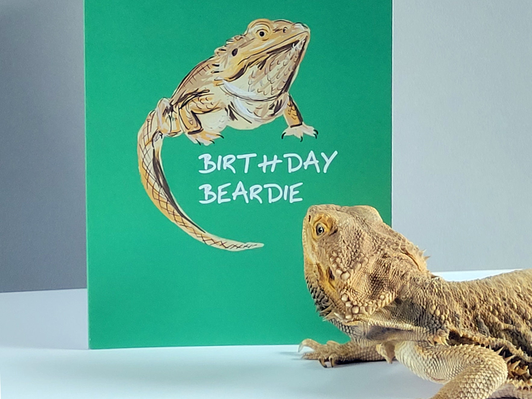 Bearded Dragon Birthday Card Birthday Beardie - Etsy