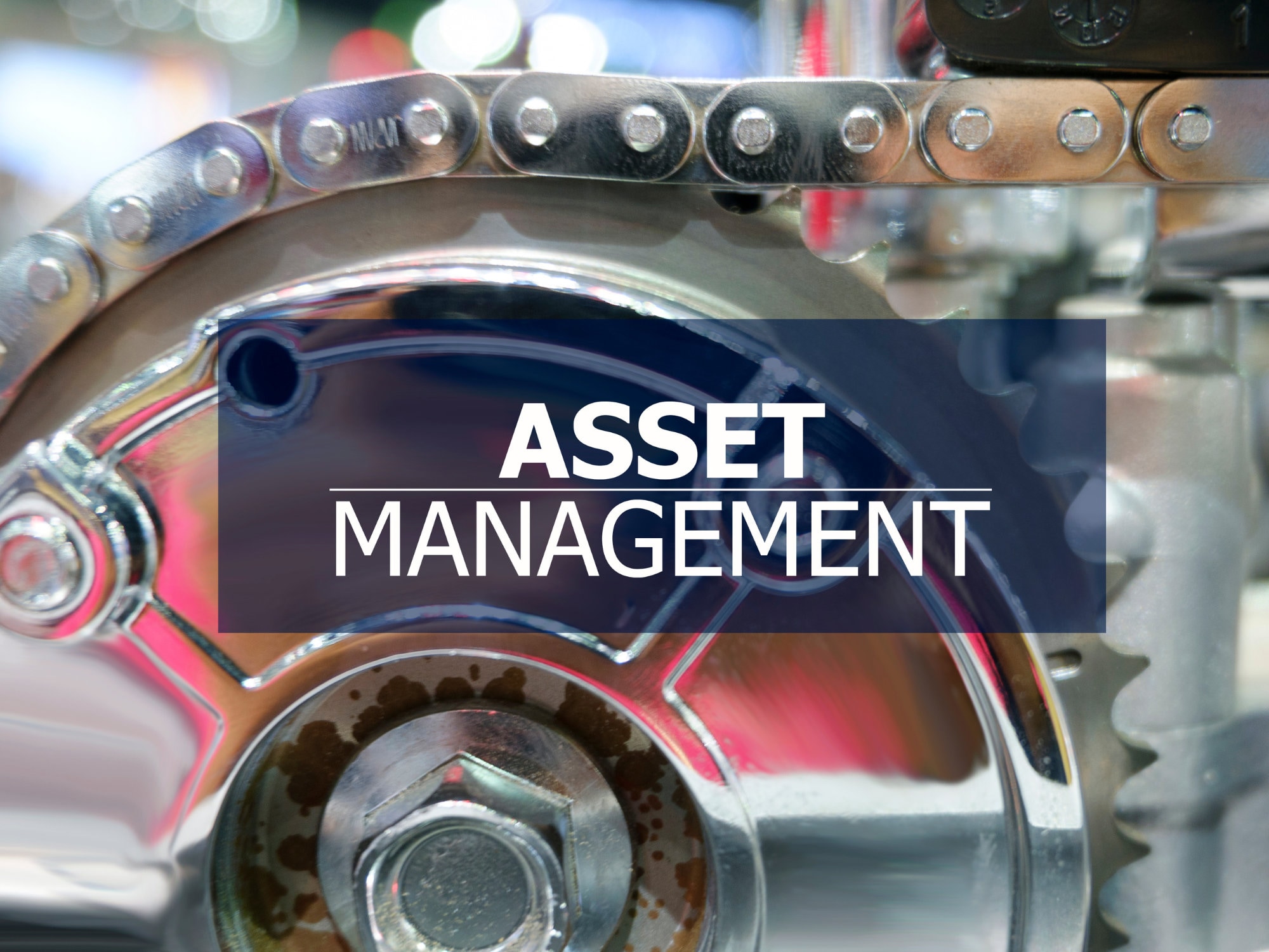 Asset & Tool Manager: Excel Inventory Tracker (digital Planner) - Etsy