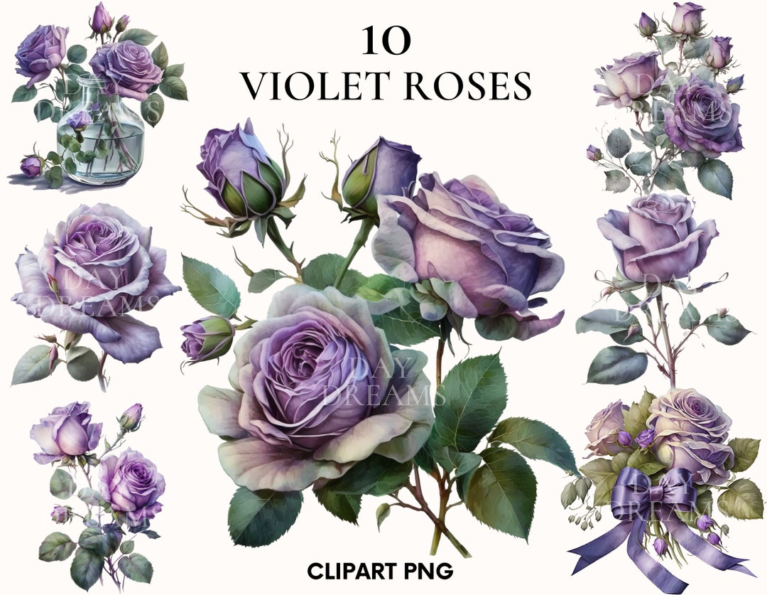 Watercolor Violet Roses Clipart, Garden Clipart, Flowers Clipart Bundle ...