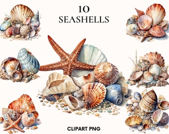 39 Seashell Png, Watercolor Seashell Clipart, Beach Clipart, Nautical ...