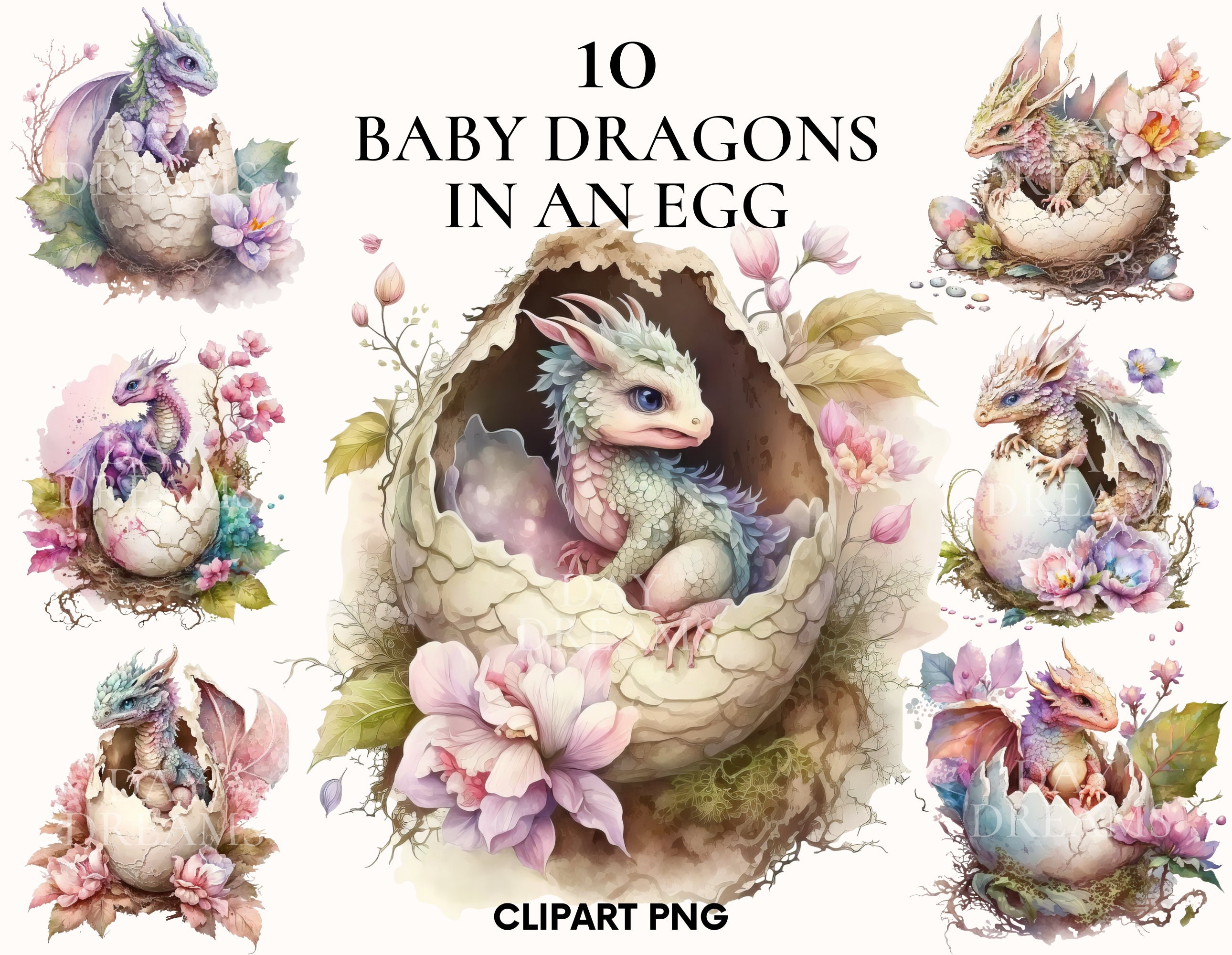 Cute Baby Dragons In A Egg